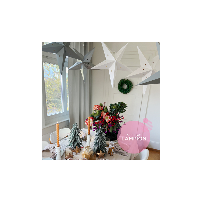 Small white polar star lantern